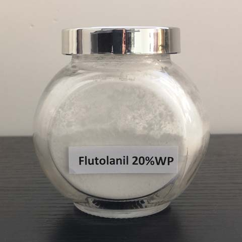 Flutolanil; CAS NO 66332-96-5; fungicide for pathogens especially ...