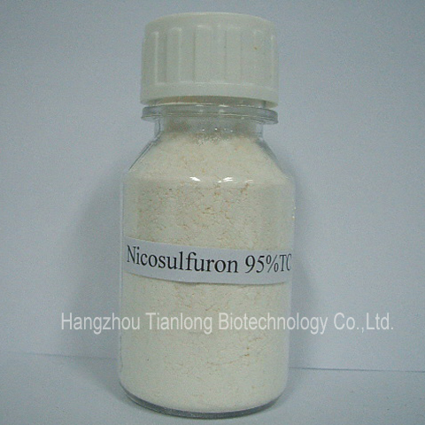 Nicosulfuron from China manufacturer - Hangzhou Tianlong Biotechnology ...